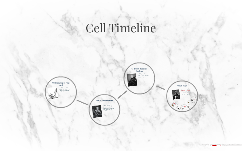 Cell Timeline by Connor Standring on Prezi