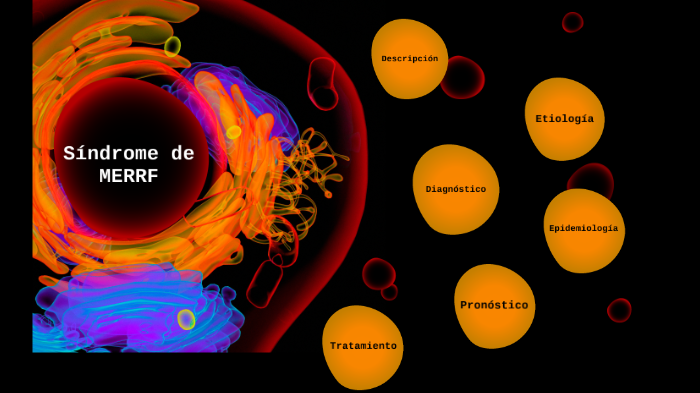 MERRF syndrome by Teresa B.R. on Prezi