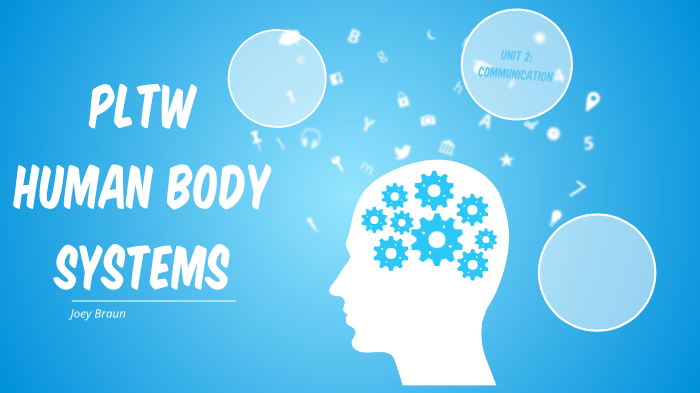 Human Body Systems Portfolio by Joey Braun on Prezi