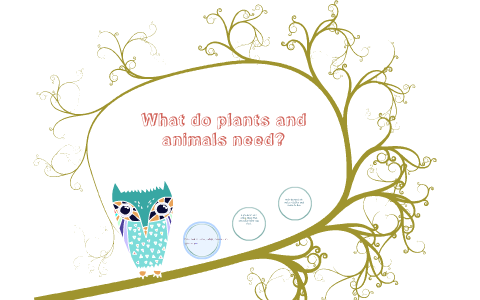 What do plants and animals need? by Sergio Espinosa Maldonado on Prezi