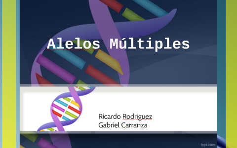 Alelos Múltiples by Gabriel Carranza on Prezi