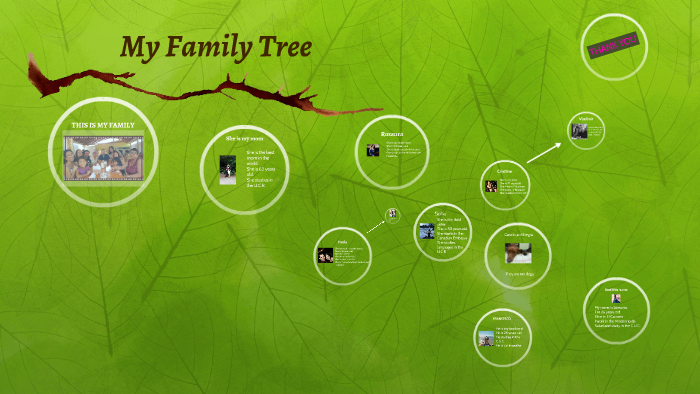 My Family Tree by Su Solano on Prezi