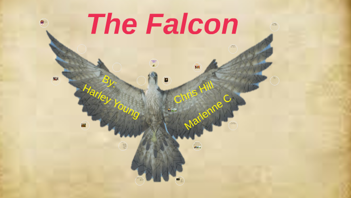 Federigo's Falcon by Harley Young on Prezi