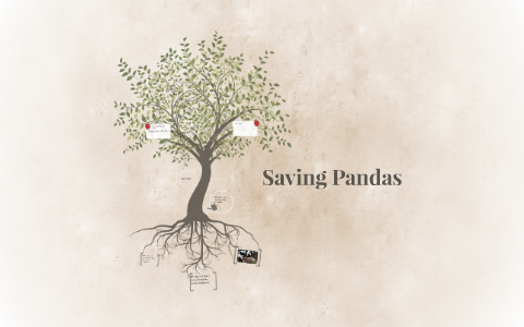 Saving Pandas by on Prezi