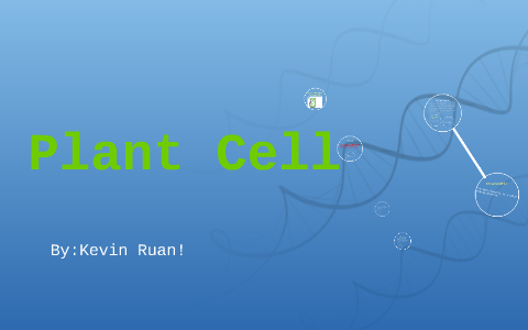 Plant Cell by Kevin .Ruan on Prezi