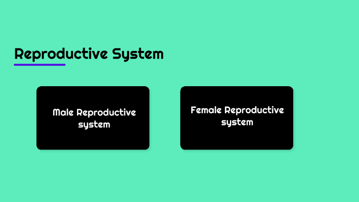 The Reproductive Project by Kai White on Prezi