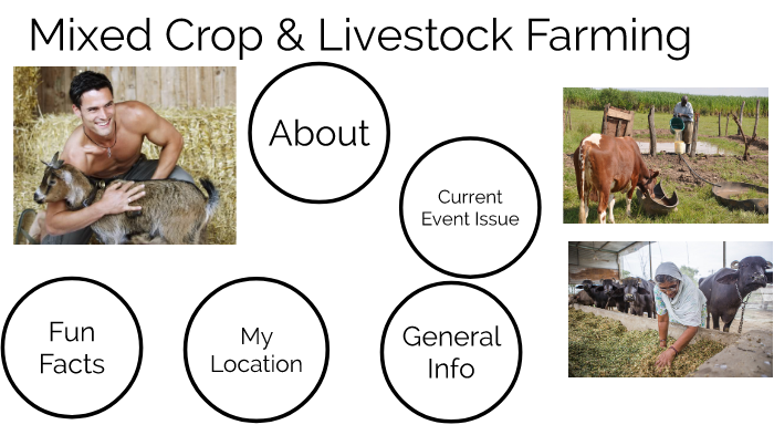 Mixed Crop And Livestock Farming