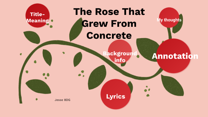 The Rose That Grew From Concrete by jesse nguyen on Prezi