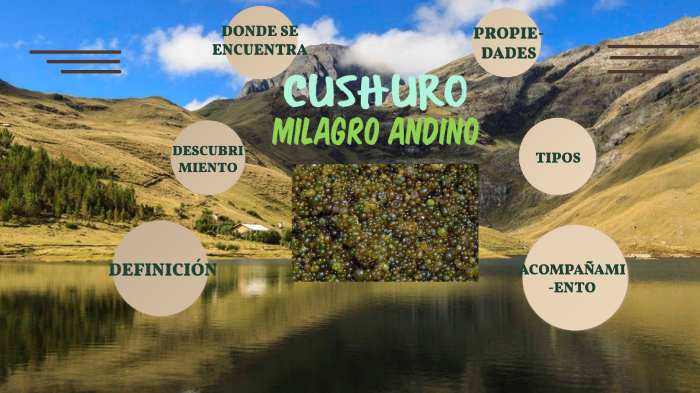 Cushuro milagro andino by keyla Bautista on Prezi