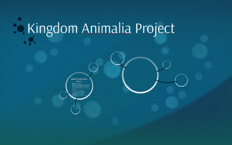 Kingdom Animalia Project by Trey Rucker on Prezi