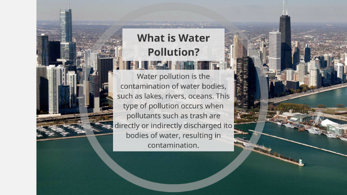 Water Pollution In Chicago by Sidney Hines on Prezi