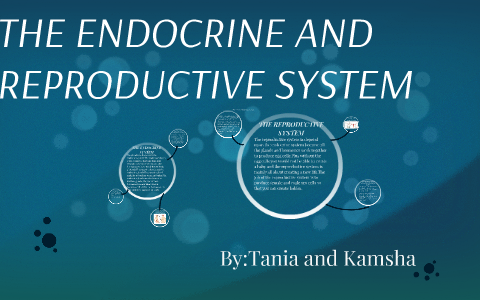 THE ENDOCRINE AND REPRODUCTIVE SYSTEM by tania hothi on Prezi