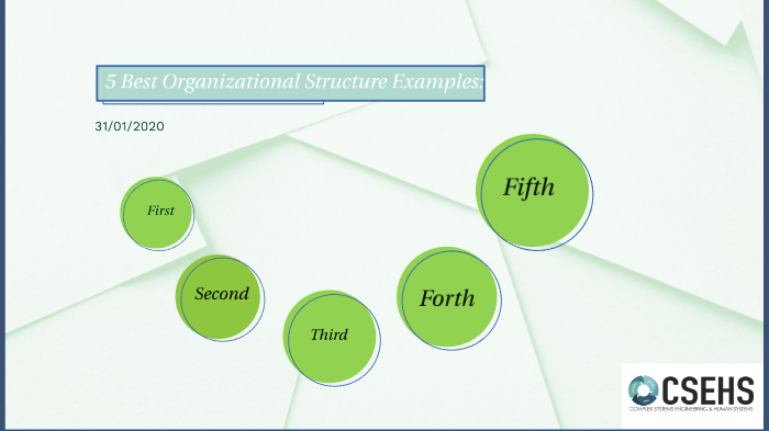 5 Best Organizational Structure Examples by さら vondergeist