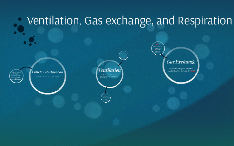 Ventilation, Gas exchange, and Respiration by Sebastian Vicens