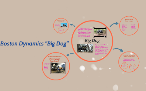 Boston Dynamics "Big Dog" by Brianna Rios on Prezi