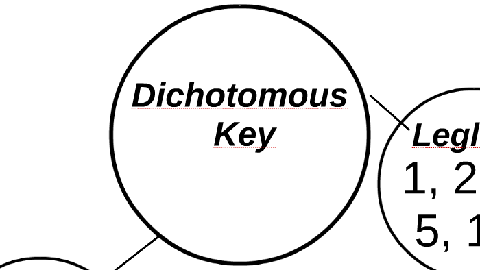 Dichotomous Key by Nicki Stevenson on Prezi