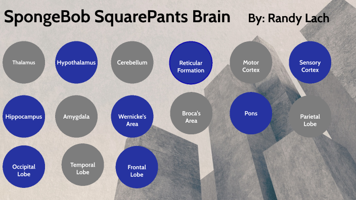 SpongeBob Squarepants Brain by Randy Lach on Prezi