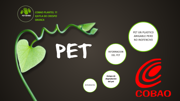 EL PET by misael diaz on Prezi