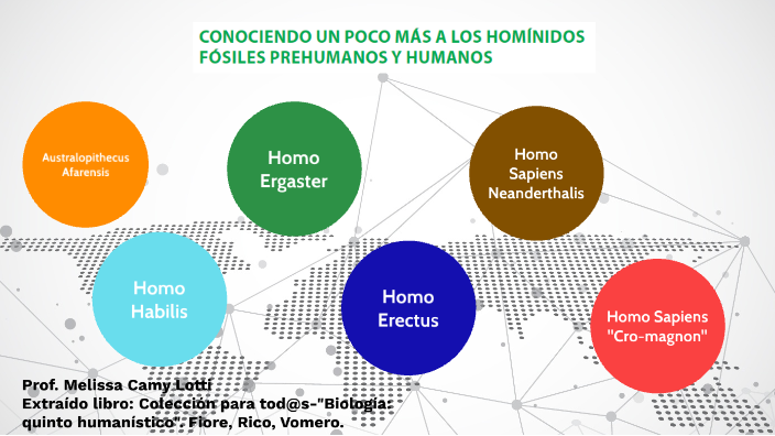 Profundización de los distintos homínidos by Melissa Camy Lotti on Prezi
