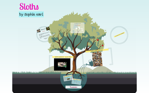 sloth presentation by Sophie Earl on Prezi