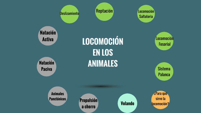 MAPA MENTAL DE LA LOCOMOCION EN LOS ANIMALES. by nicolas gaviria moreno ...