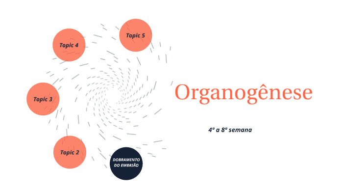 Organogênese: 4ª a 8ª semana by Larissa Pellin on Prezi