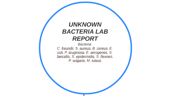 UNKNOWN BACTERIA LAB REPORT by Makenna Mounts on Prezi