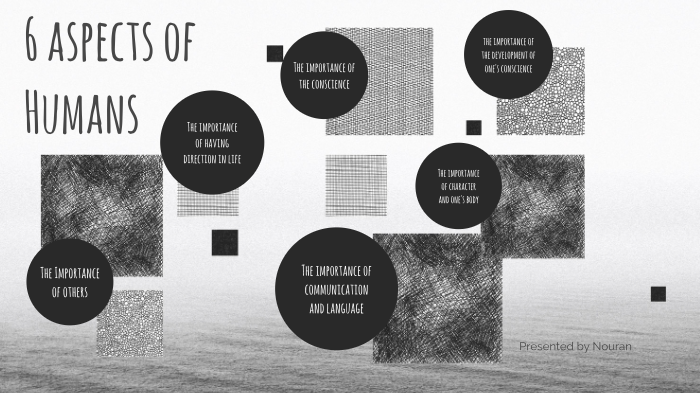 6 aspects of Humans by nouran khaled on Prezi
