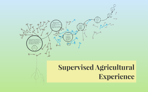 Supervised Agricultural Experience by Taryn Downing