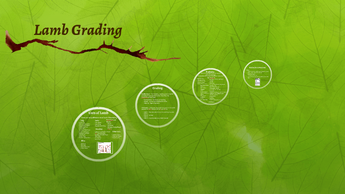 Lamb Grading by Gabby Fratantuono on Prezi