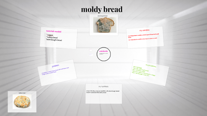 moldy bread by madison prather on Prezi