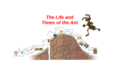 The Life and Times of the Ant Vocabulary by Devin Quigley on Prezi