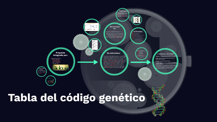 Tabla del código genético by fernanda dattoli breton on Prezi