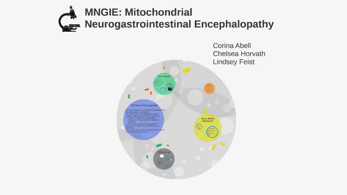 What is MNGIE? by Lindsey Feist on Prezi