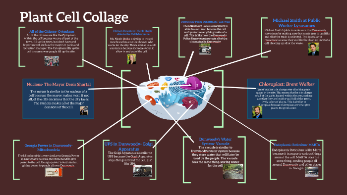 Plant Cell Collage by Ellie Erwin on Prezi