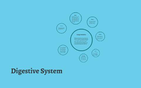 Digestive System by patrick trinh on Prezi