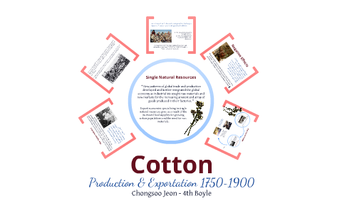 AP World - Cotton Production & Exportation (1750~1900) by Chongsoo Jeon ...