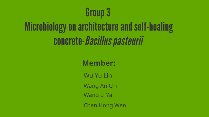 Group 3-- Microbiology on architecture and self-healing concrete ...