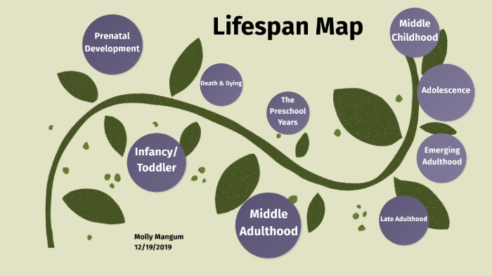 Lifespan map by Molly Mangum on Prezi