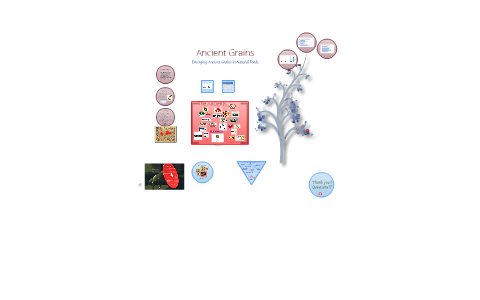 Ancient Grains by Megan Tassone