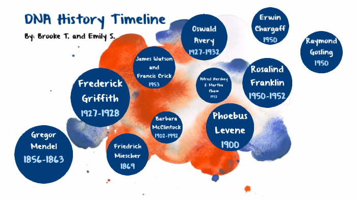 DNA History Project 2018 - Brooke Tulkki and Emily Seaberg by Brooke ...