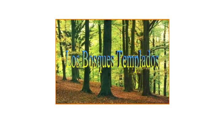 El bioma de los bosques templados es uno de los biomas más d by Women ...