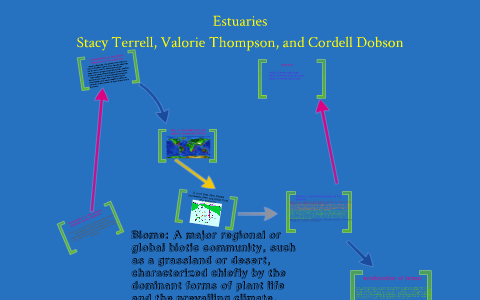 Estuaries by Stacy Mae Terrell on Prezi