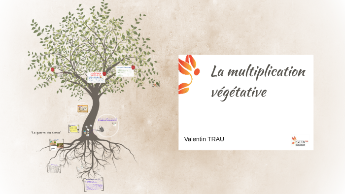 la multiplication végétative chez les plantes à parti by Valentin trau ...