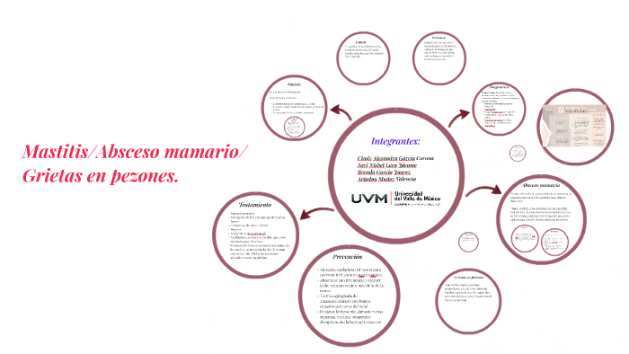 Mastitis/Absceso mamario/ Grietas en pezones. by Neri Nisbet Lara on Prezi