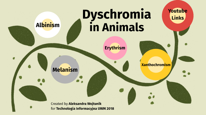 Dyschromia in Animals by A. W. on Prezi