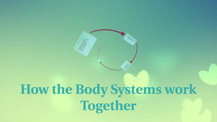 How the Body Systems Work Together by Rachel B. on Prezi