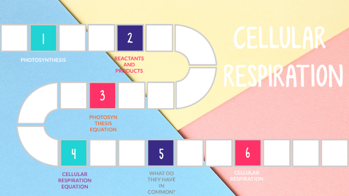 Cellular Respiration by Rachel Calhoun on Prezi