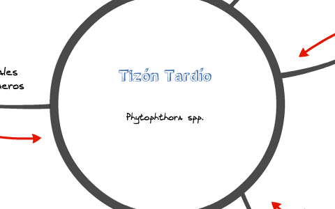 Tizón Tardío by Ignacio León on Prezi