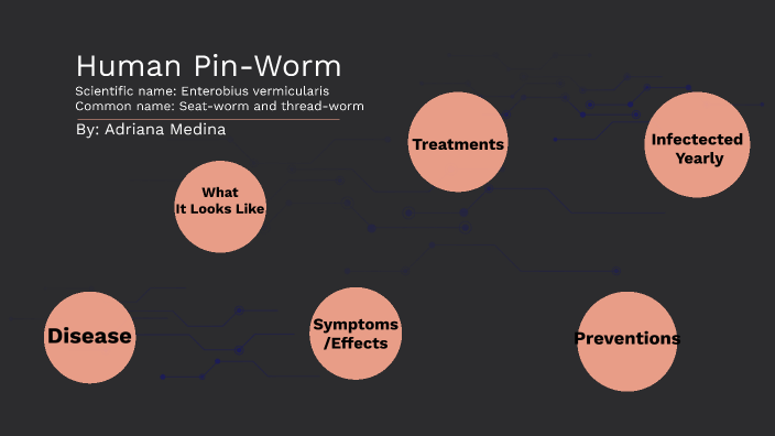 Parasitic Worm Project by Adriana Medina on Prezi